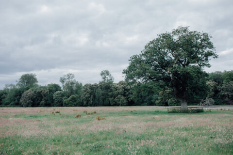 A Black Tie Summer Wedding at Castlemartyr Resort – Robyn and Brian ...